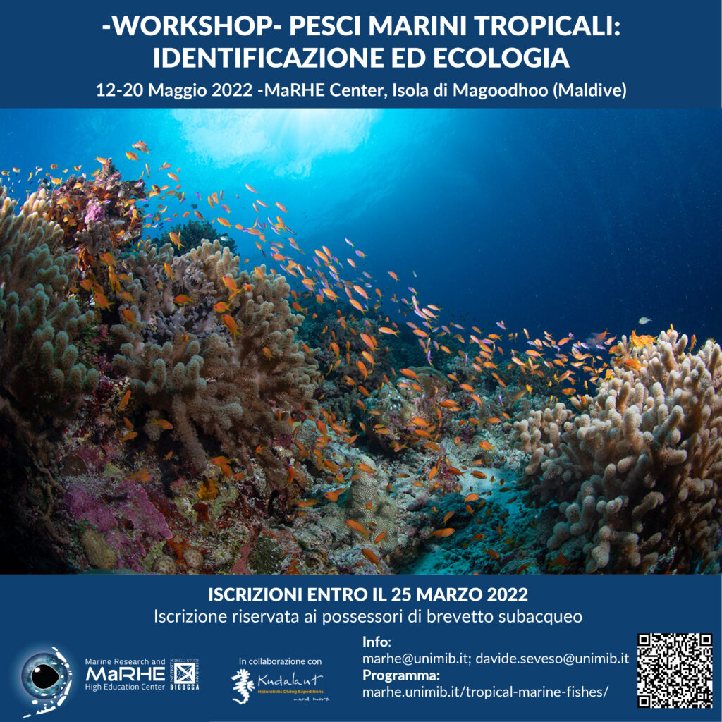 Workshop pesci marini tropicali al MaRHE Center – S.It.E – Società ...